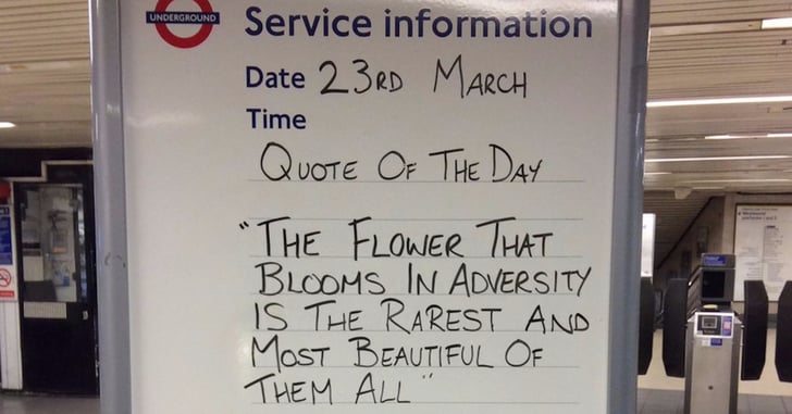 Inspiring Signs in London Tube After Terrorist Attack | POPSUGAR News
