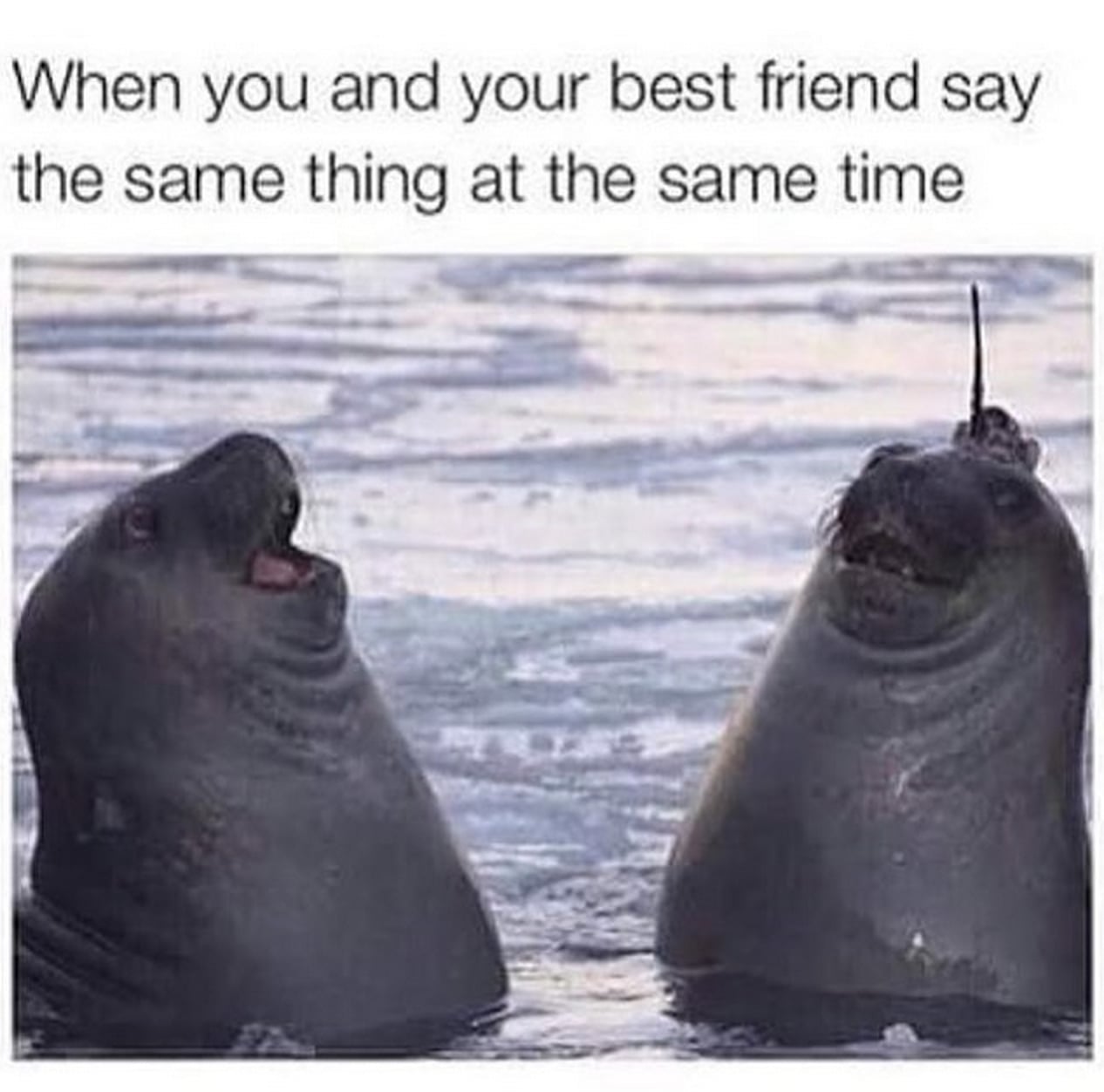 Best Friend Memes | PS Tech