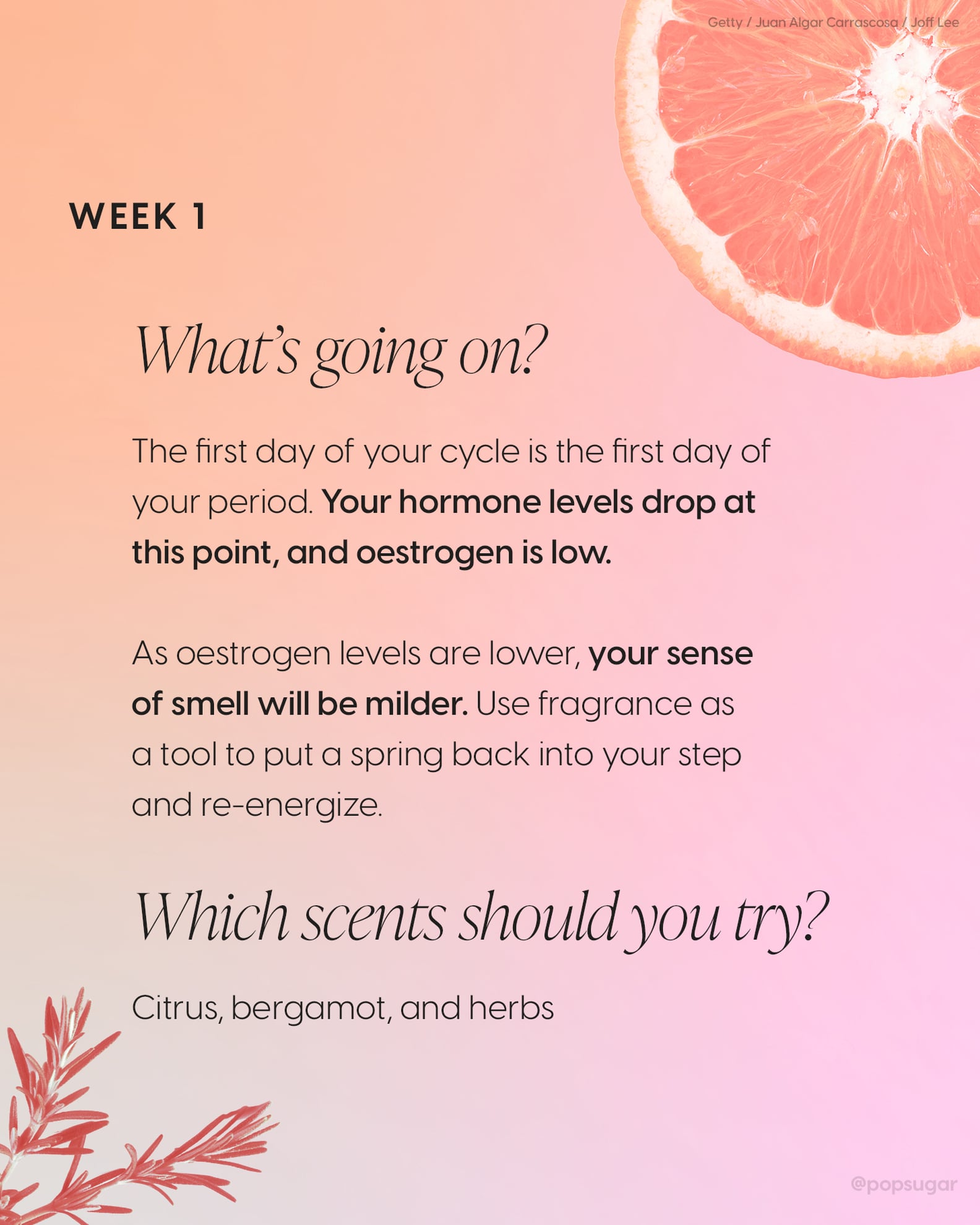 Is Your Period Affecting Your Sense of Smell? | PS Beauty