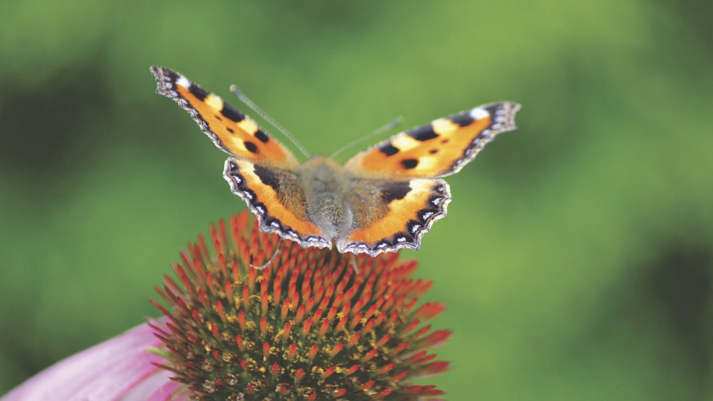 Why Spring Is the Best Season | POPSUGAR Smart Living