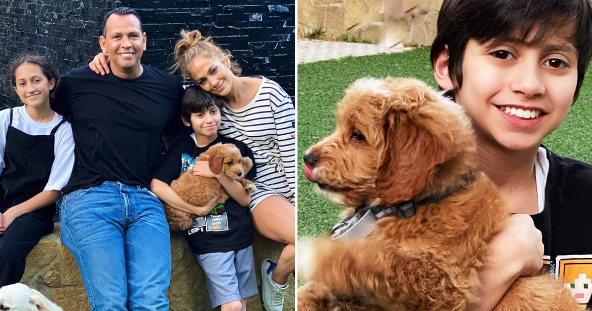 Jennifer Lopez and Alex Rodriguez Got Max a Goldendoodle Dog | PS UK Pets