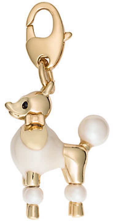 Gifts For Poodle Owners | PS Pets