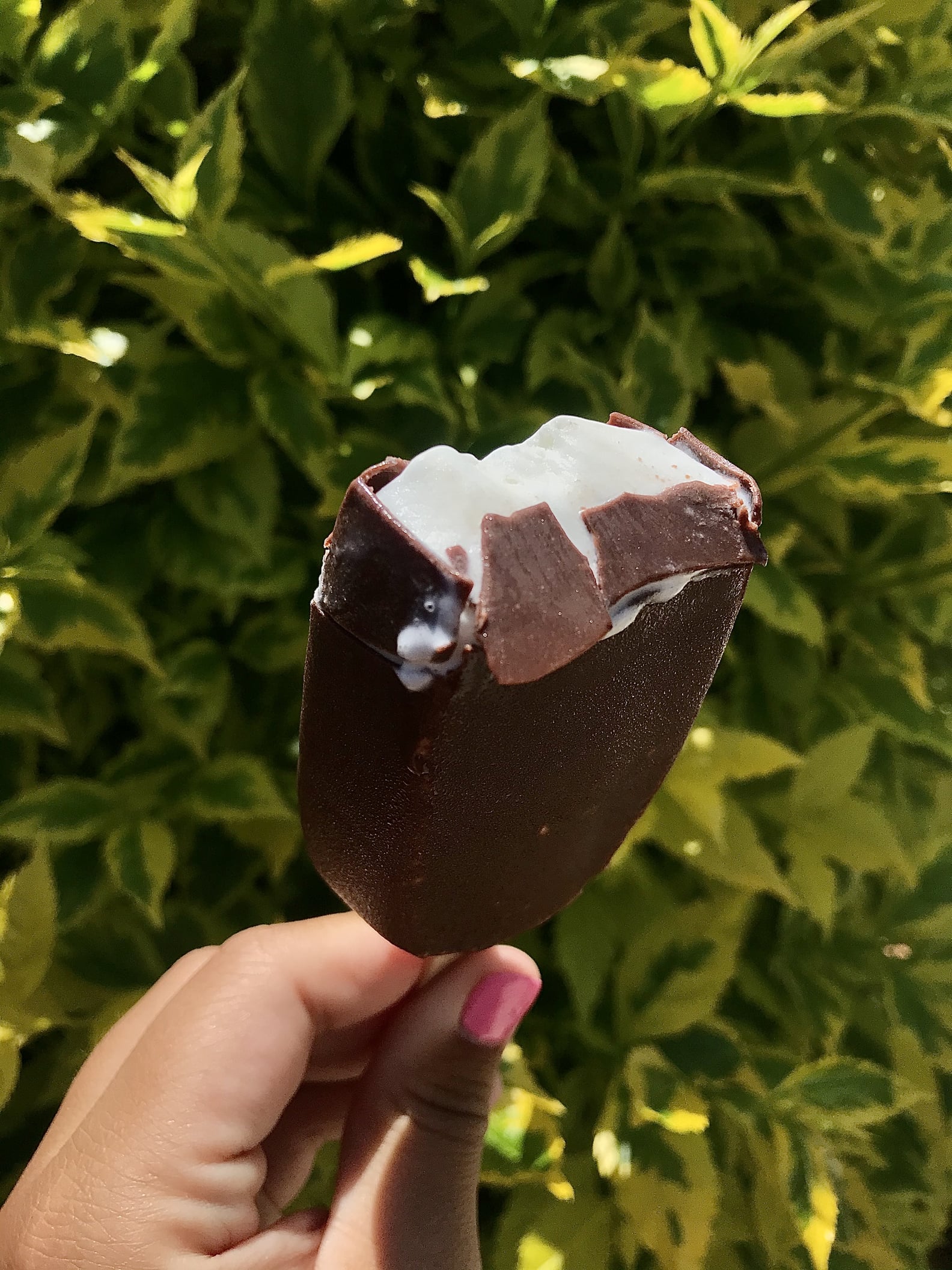 Mickey Premium Ice Cream Bar Recipe With Photos | PS Food
