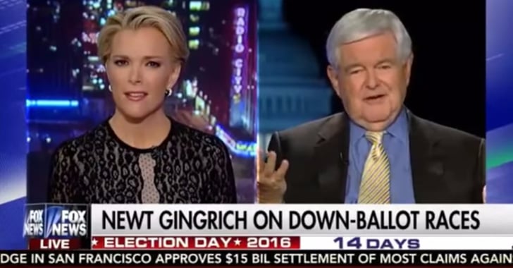 Video Of Megyn Kellys Interview With Newt Gingrich Popsugar News