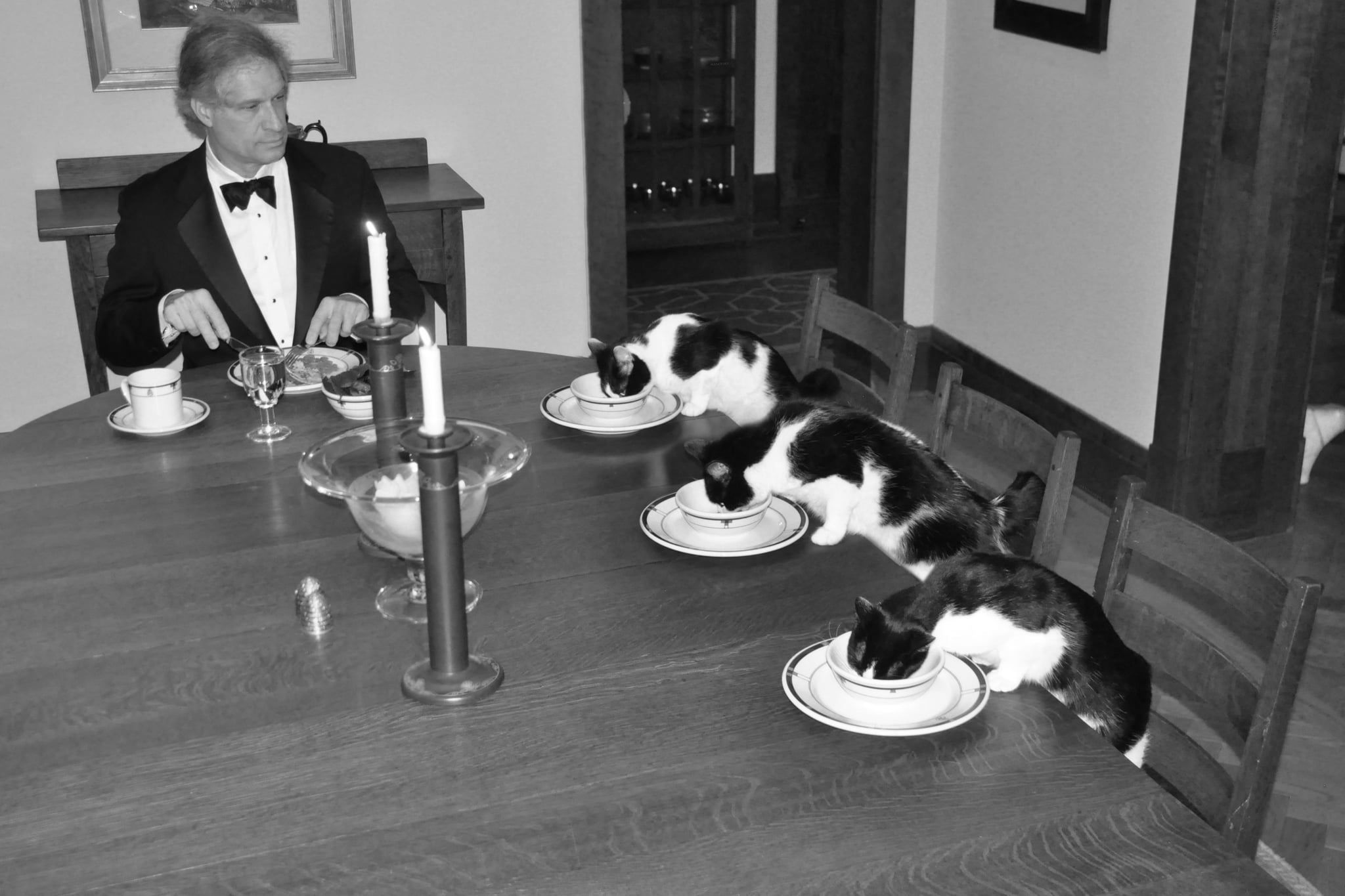 Man Makes Fancy Dinner For Cats | POPSUGAR Love & Sex