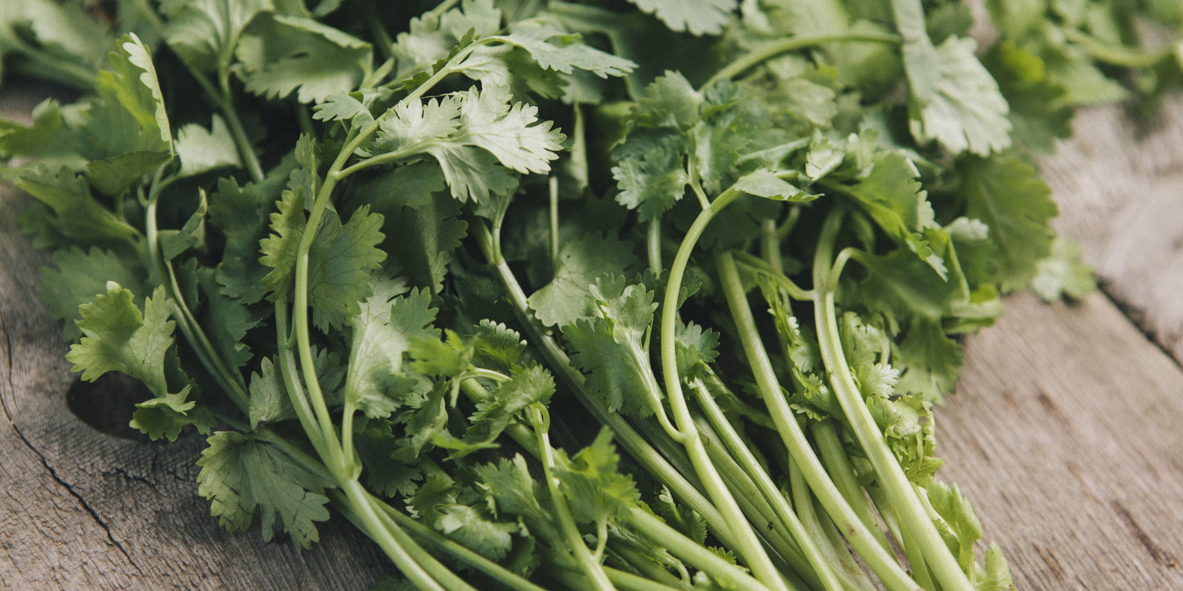 The Health Benefits of Cilantro | PS Fitness