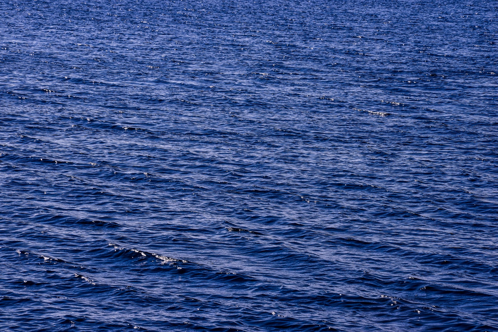 How to Take the Ktestone Color Personality Test | PS Balance