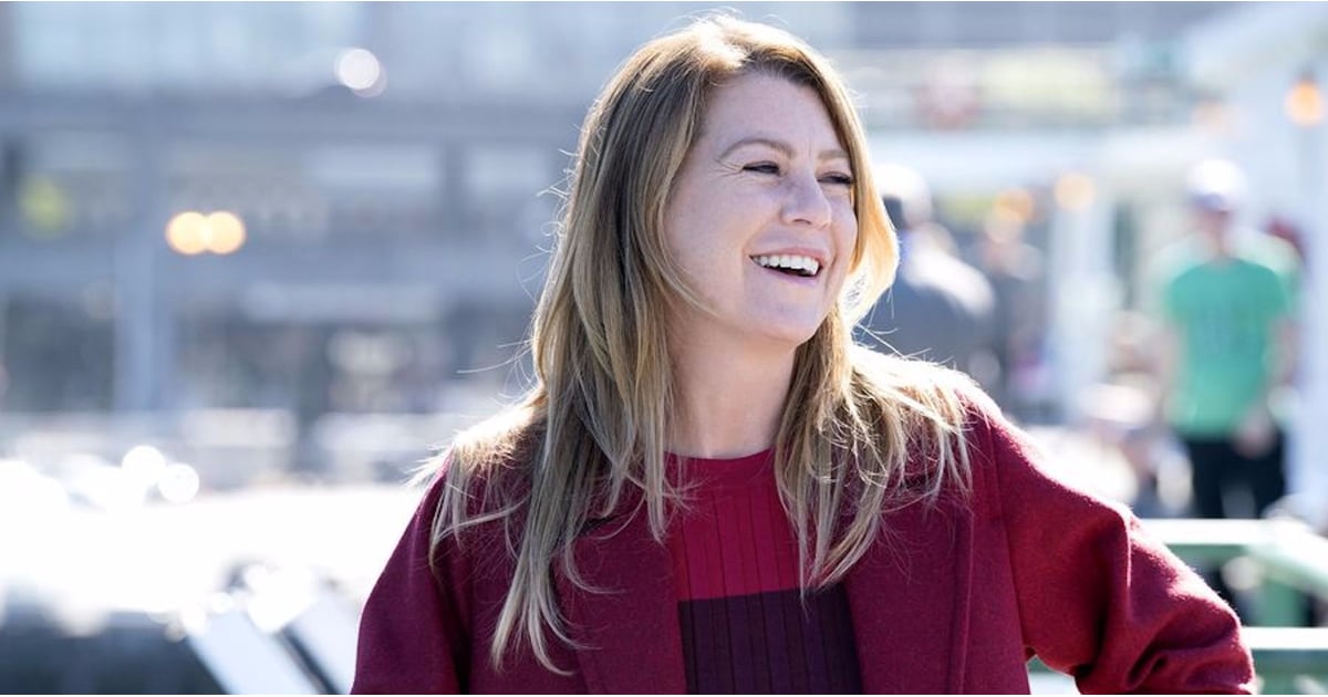 Meredith Character Development on Grey's Anatomy Season 14 | POPSUGAR ...