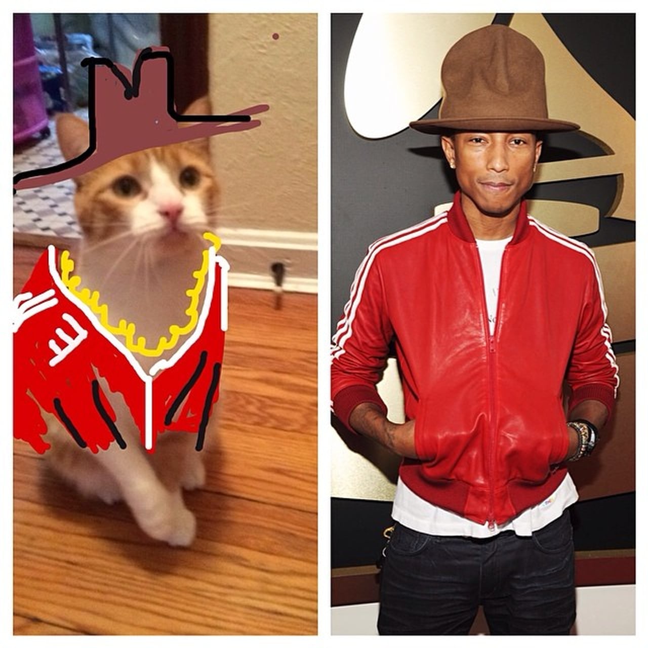 Snapcat Pictures | PS Tech