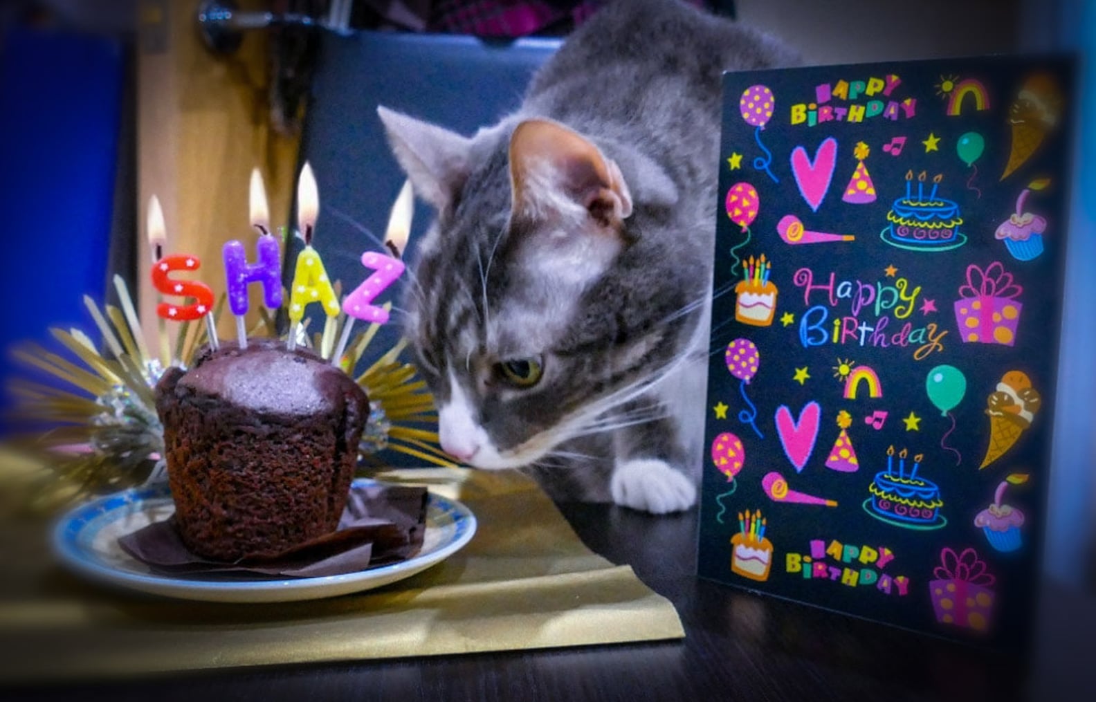 Photos of Man Eating Meals With His Cat | PS Pets