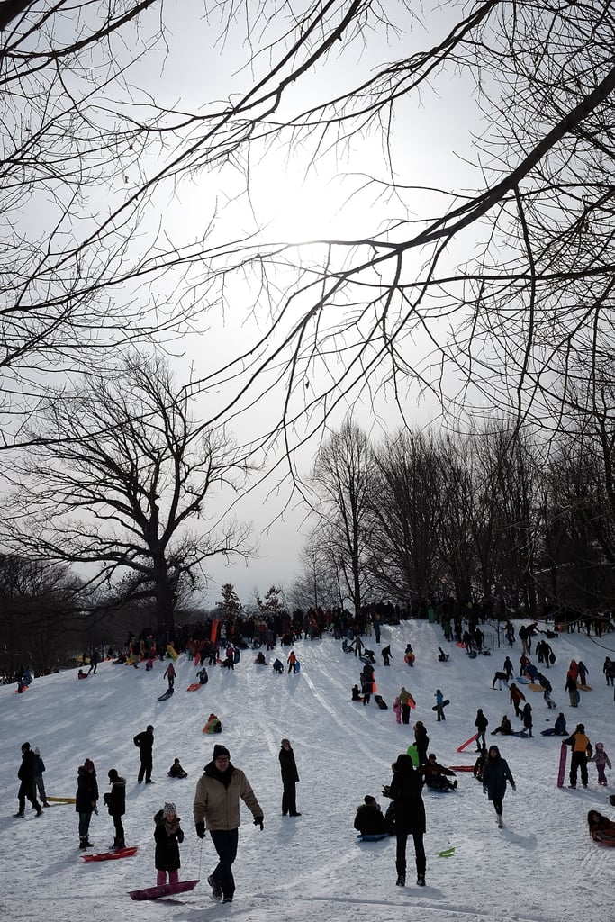 Winter Storm Juno January 2015 | Pictures | POPSUGAR Celebrity