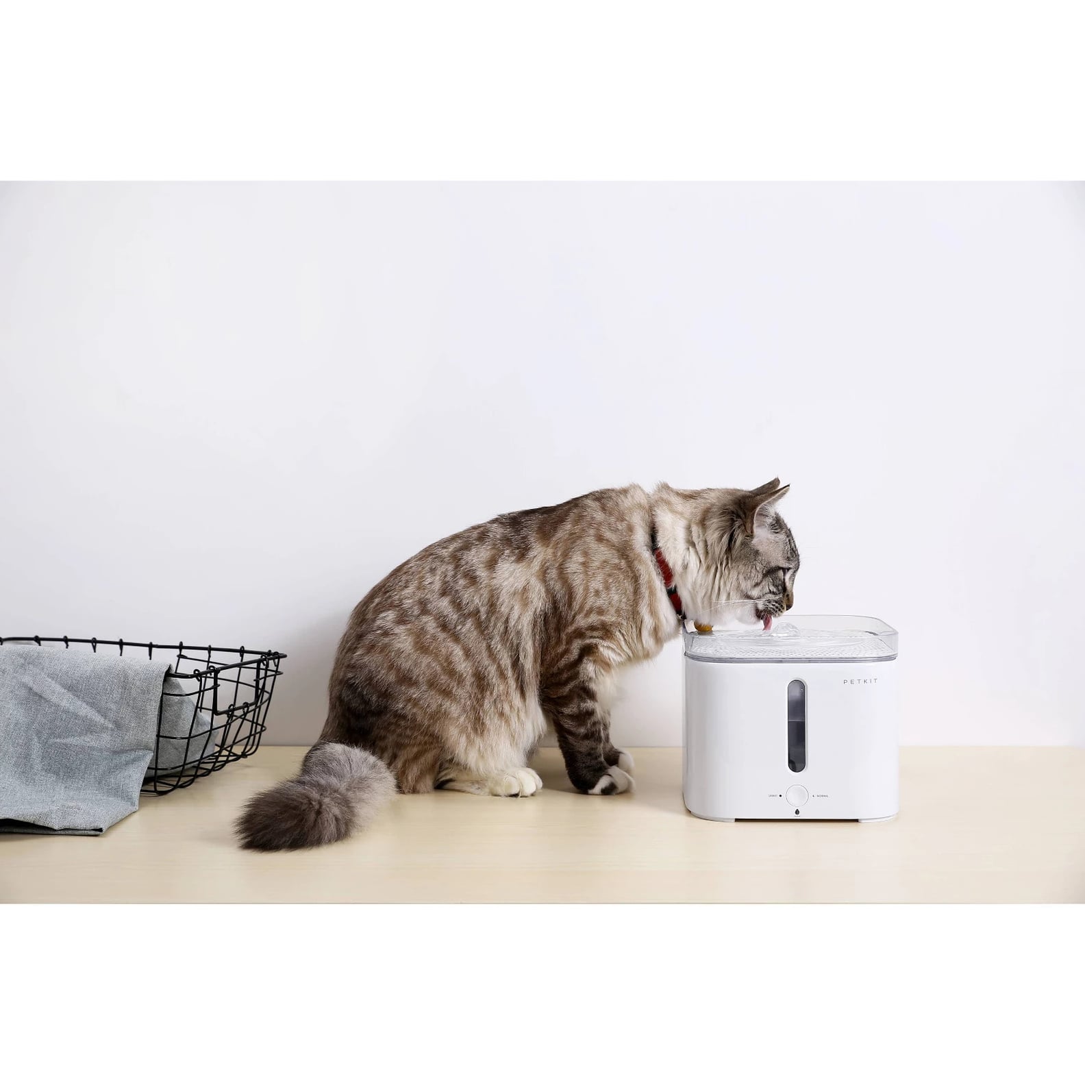 Gifts For Pet Parents at Target | PS Pets