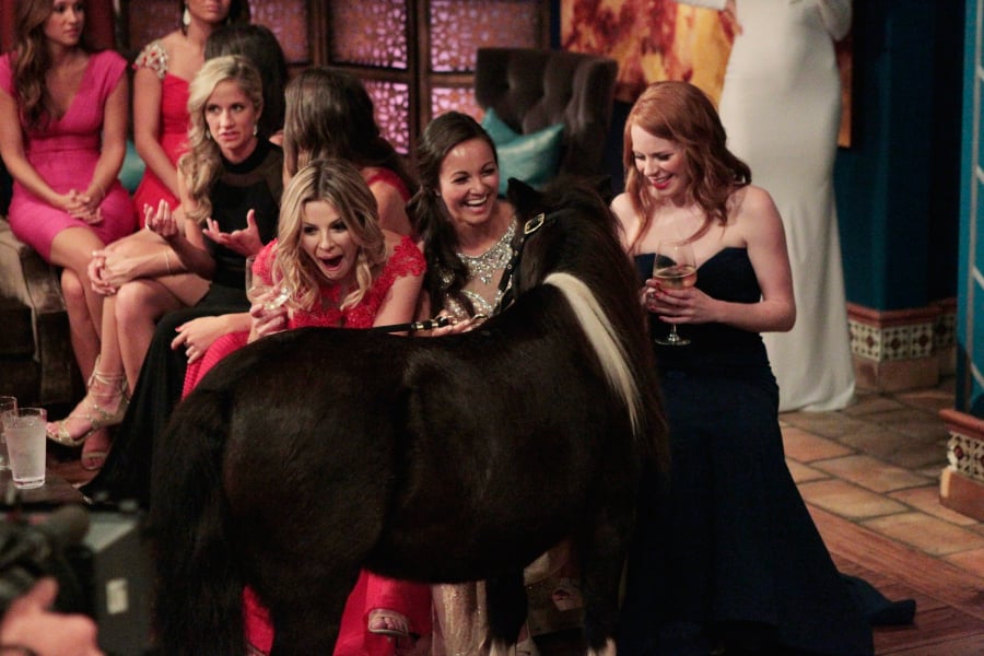 The Bachelor Season 20 Premiere | Ben Higgins | PS Entertainment