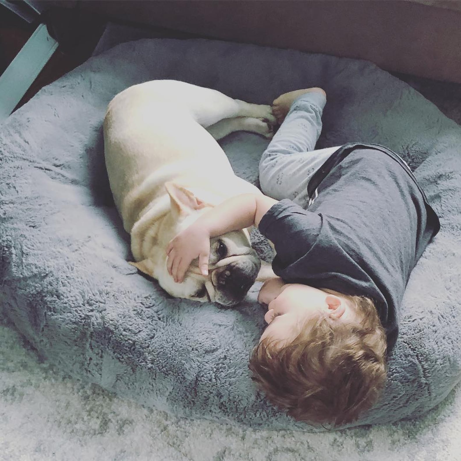 Cute Pictures of Dogs Napping With Kids and Babies | PS Family