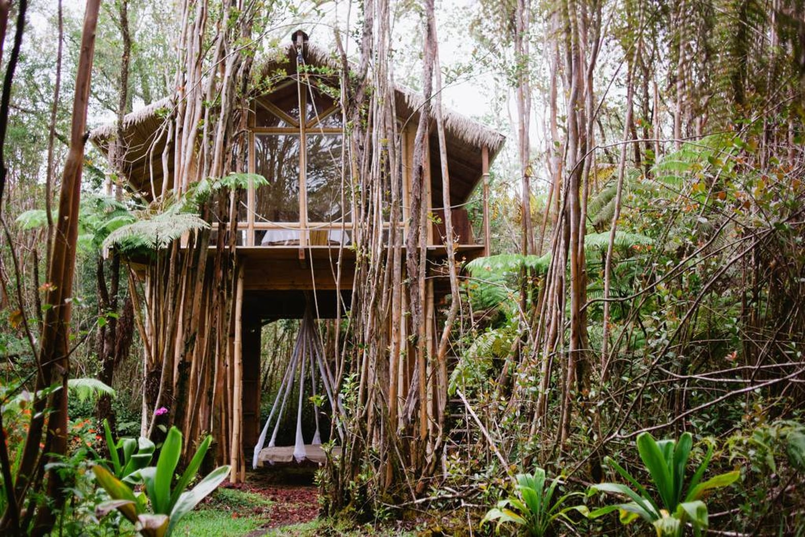 Tree House in Hawaii | PS Smart Living
