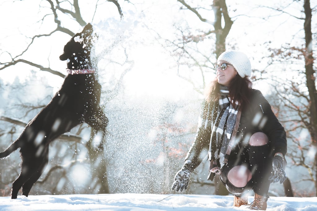 Cute Photos of Dogs in the Winter | POPSUGAR Pets