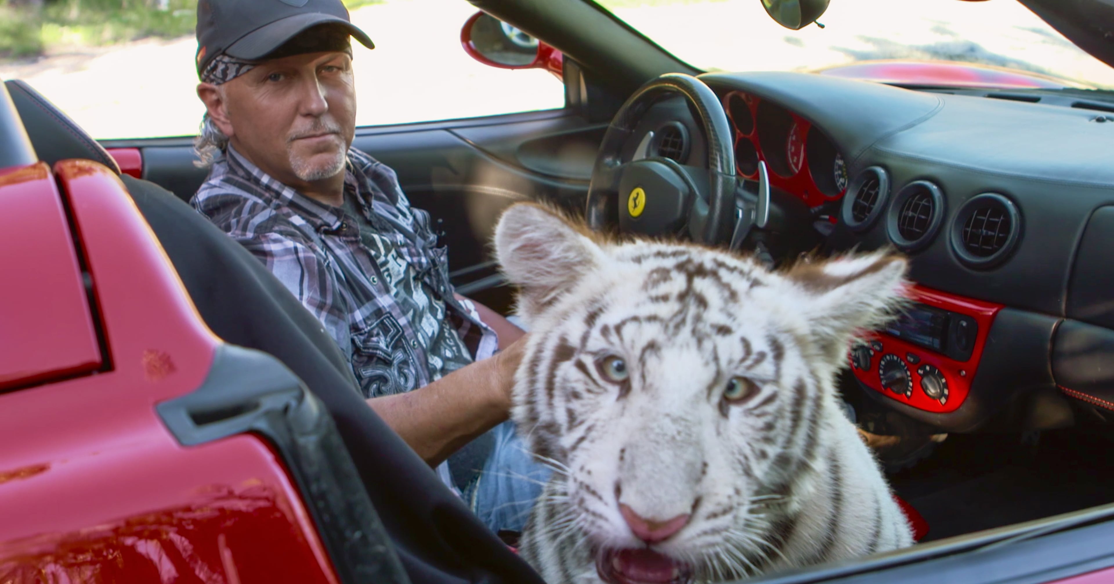 Is Tiger King's G.W. Exotic Animal Park Still Open in 2020? | PS ...