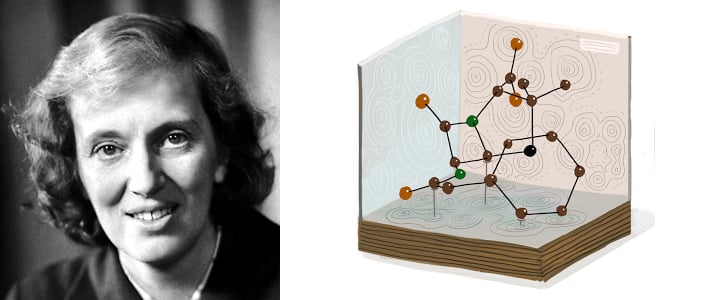 Dorothy Hodgkin Biography | POPSUGAR Tech