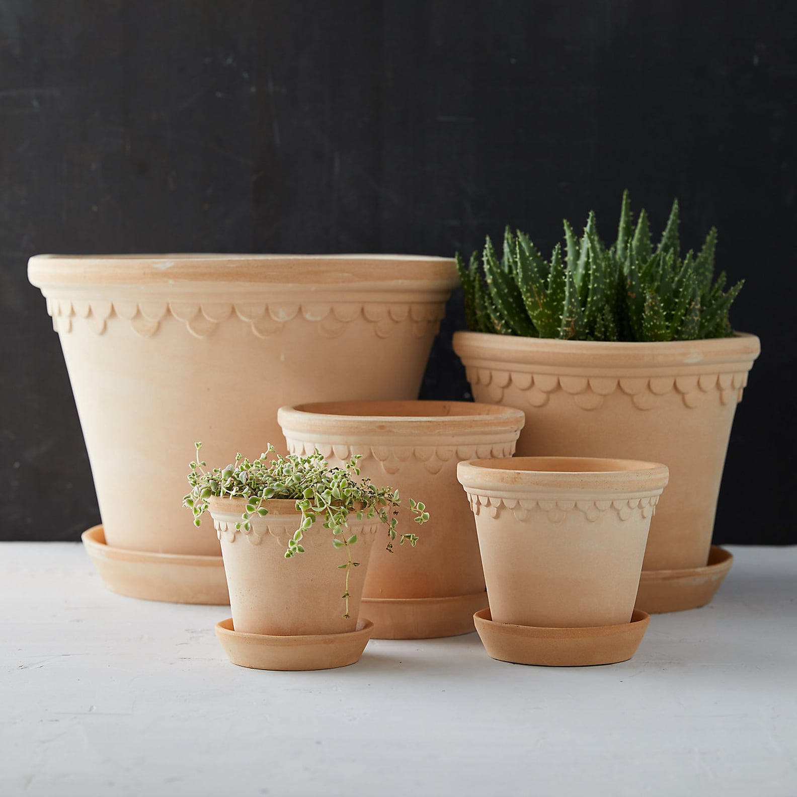 Best Outdoor Planters From Terrain | PS Home