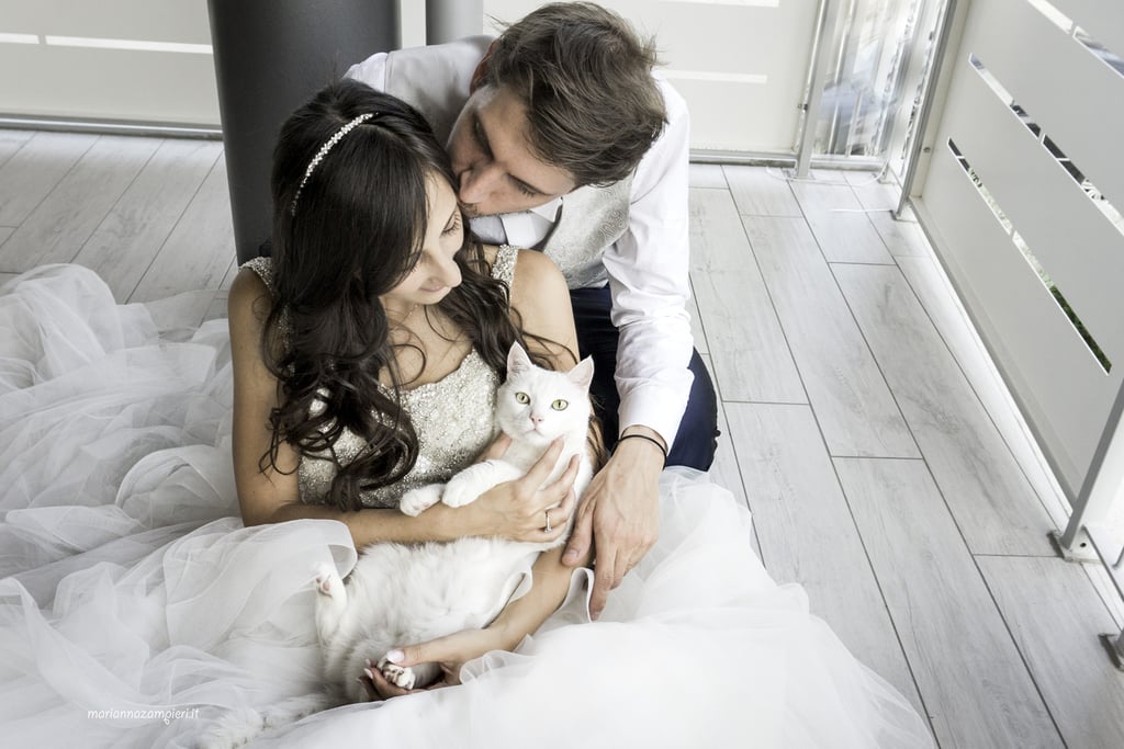 Wedding Photos With Cats | POPSUGAR Love & Sex