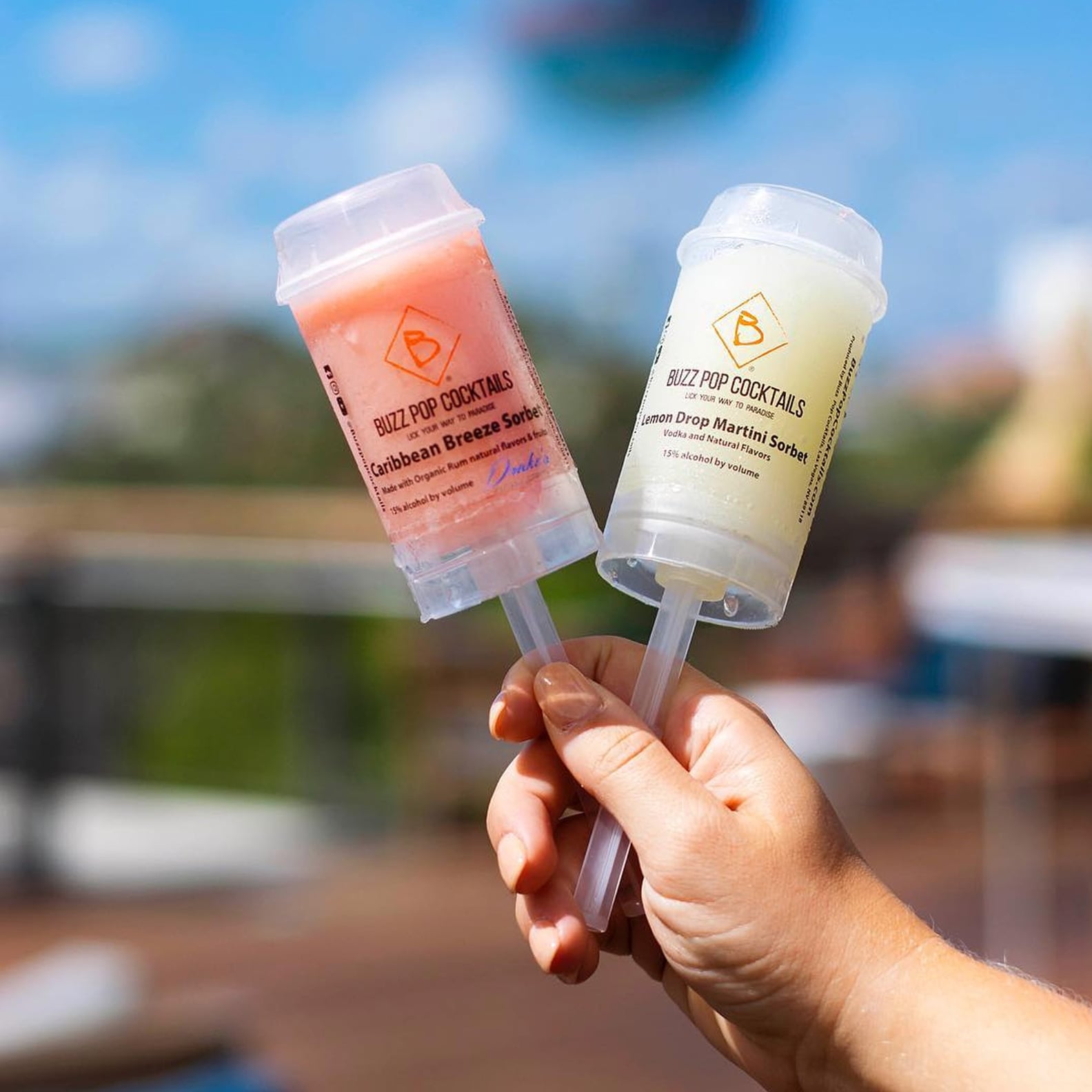 Disney Springs Alcoholic Push-Pops 2018 | PS Food