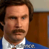 Anchorman GIFs | POPSUGAR Entertainment