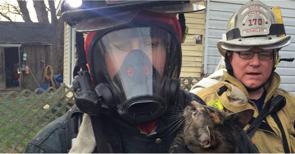 Firefighters Rescue Cats From House Fire | POPSUGAR Pets