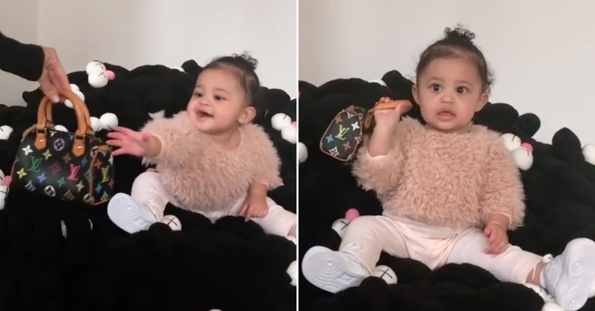 Stormi Webster Mini Louis Vuitton Bag Video | POPSUGAR Fashion