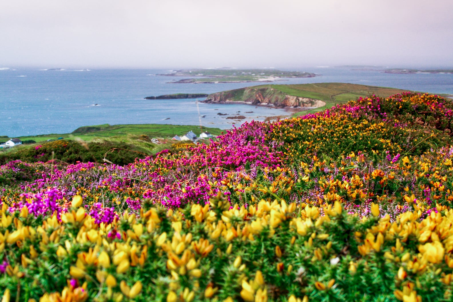 The Ultimate Ireland Travel Guide | POPSUGAR Smart Living