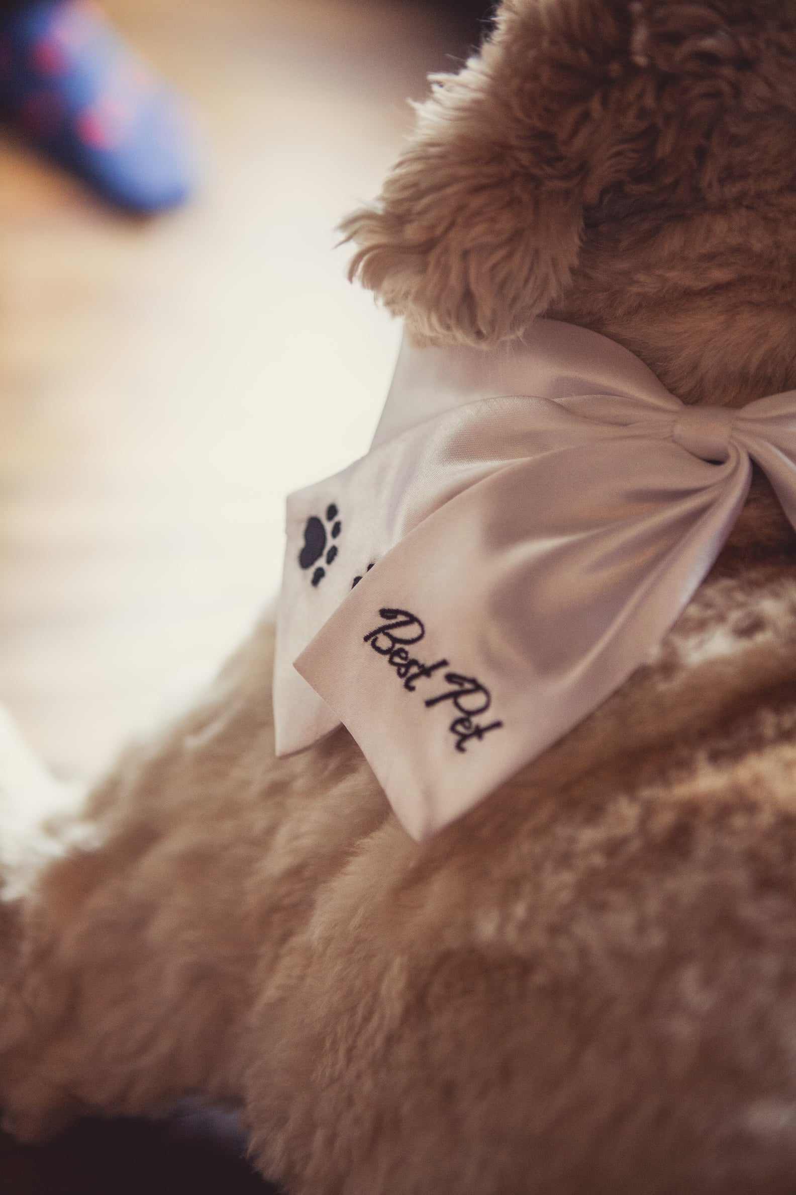 American-Italian Wedding | PS Love