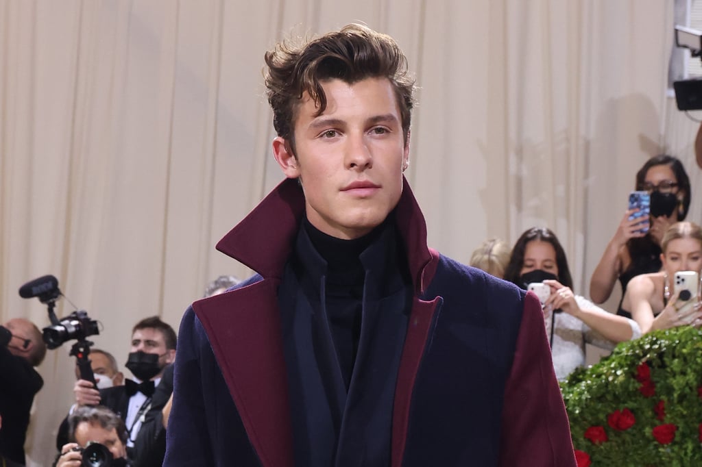 Shawn Mendes's New Haircut Is a Buzz Cut | POPSUGAR Beauty