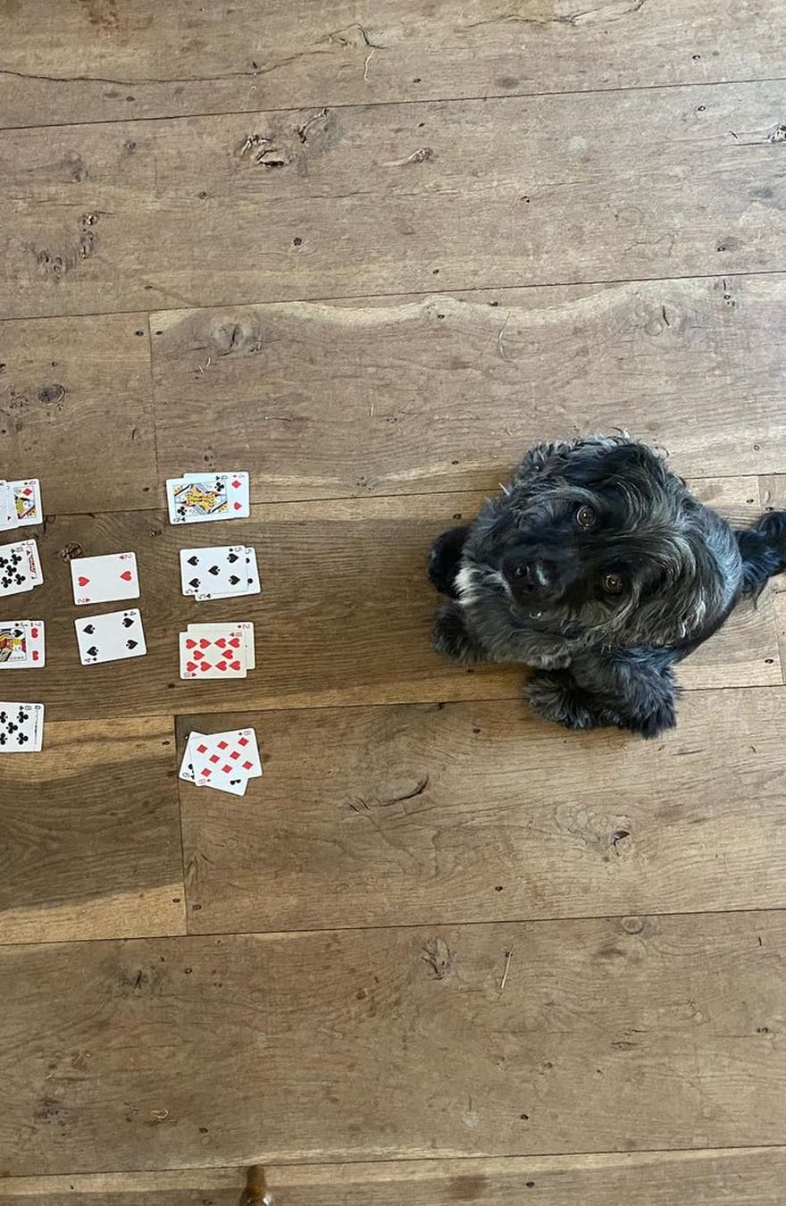 Emma Corrin's Story About Harry Styles Dog-Sitting For Her | PS Celebrity