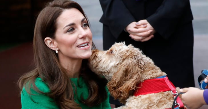 Pictures of the British Royals With Animals | POPSUGAR Celebrity
