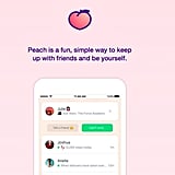 How to Use Peach App | POPSUGAR Tech