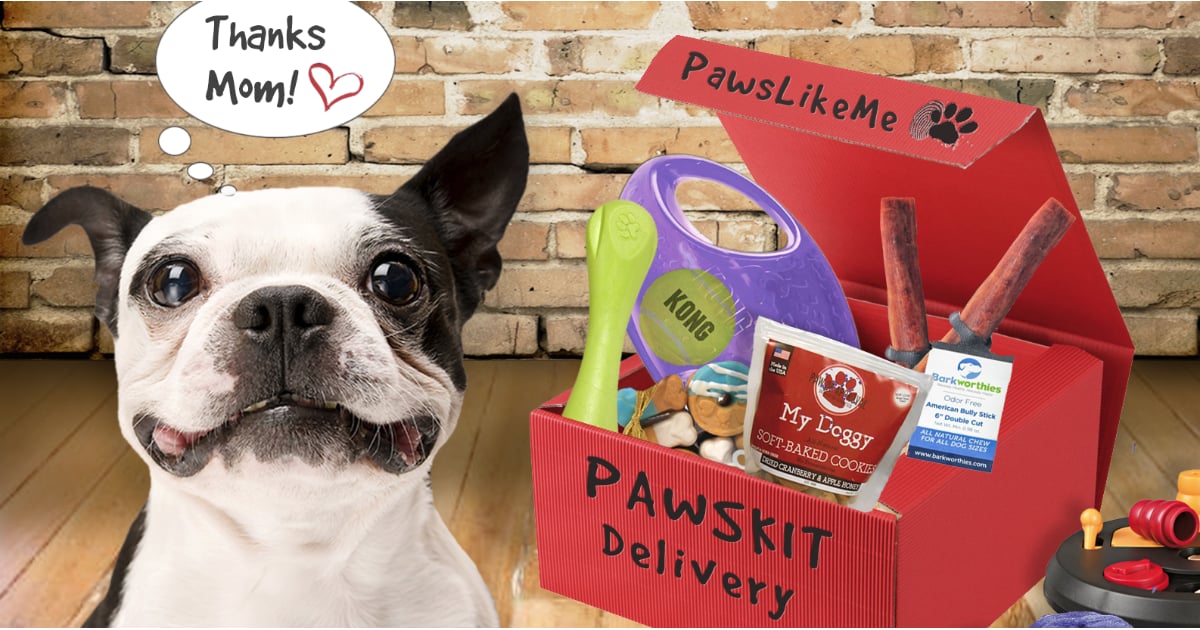 Pets Must Haves March 2016 | POPSUGAR Pets