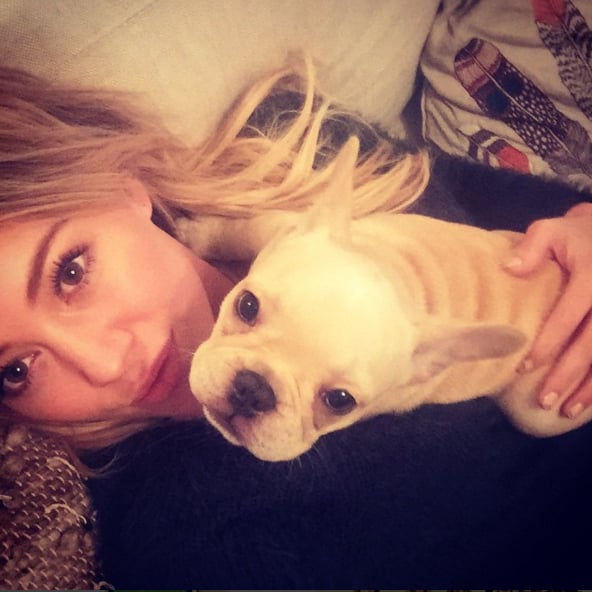 Hilary Duff's Dog Beau Dies | POPSUGAR Celebrity