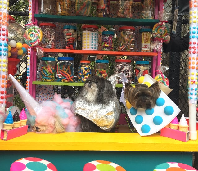 New York City Halloween Dog Parade | POPSUGAR Pets