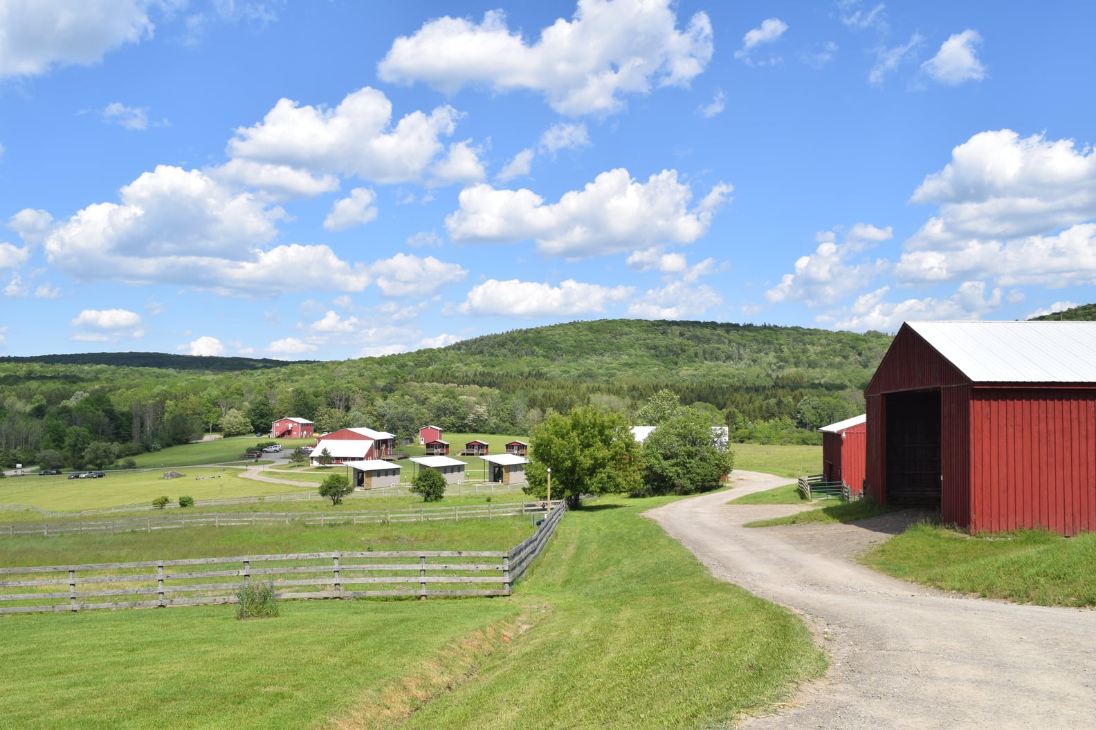 Farm Sanctuary Pictures | PS Smart Living