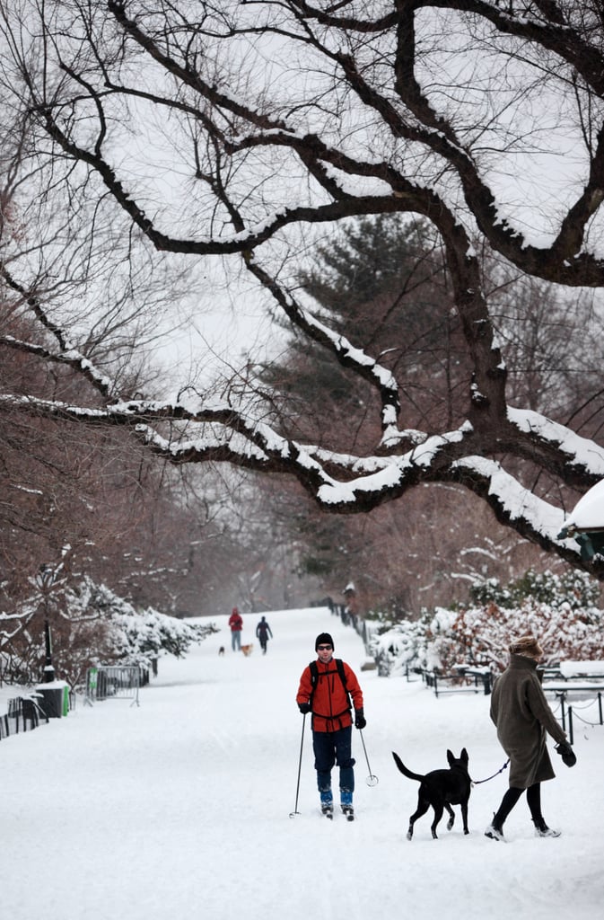 Winter Storm Juno January 2015 | Pictures | POPSUGAR Celebrity