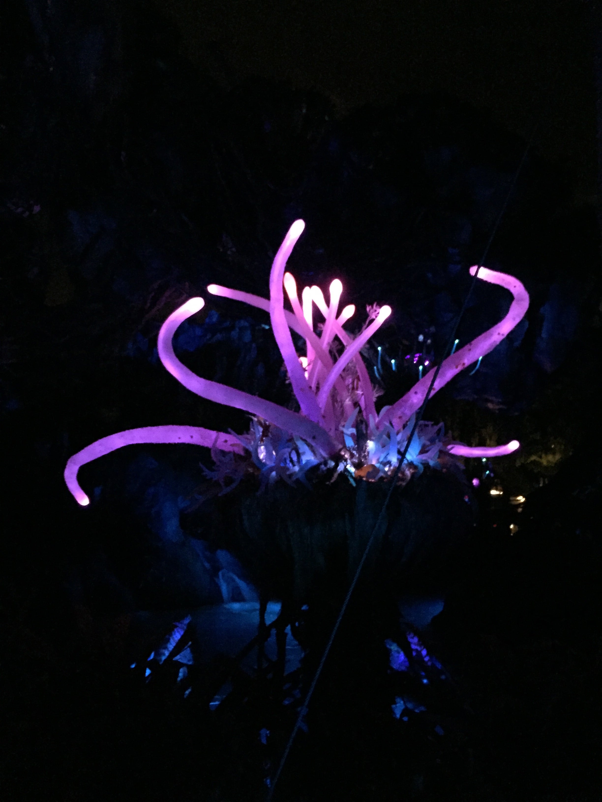 Avatar Bioluminescence Plants