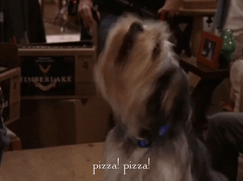 Relatable Dog GIFs | PS Pets