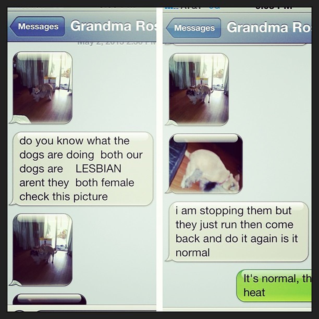 Texts From Grandma | PS Tech