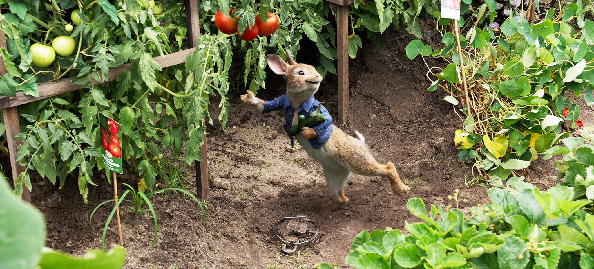 Peter Rabbit Food Allergies Backlash | POPSUGAR Family