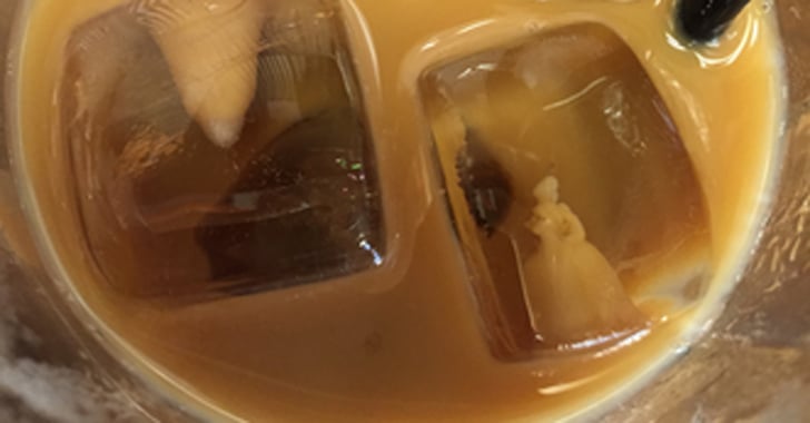 Disney Princess in Ice Cube | POPSUGAR Food