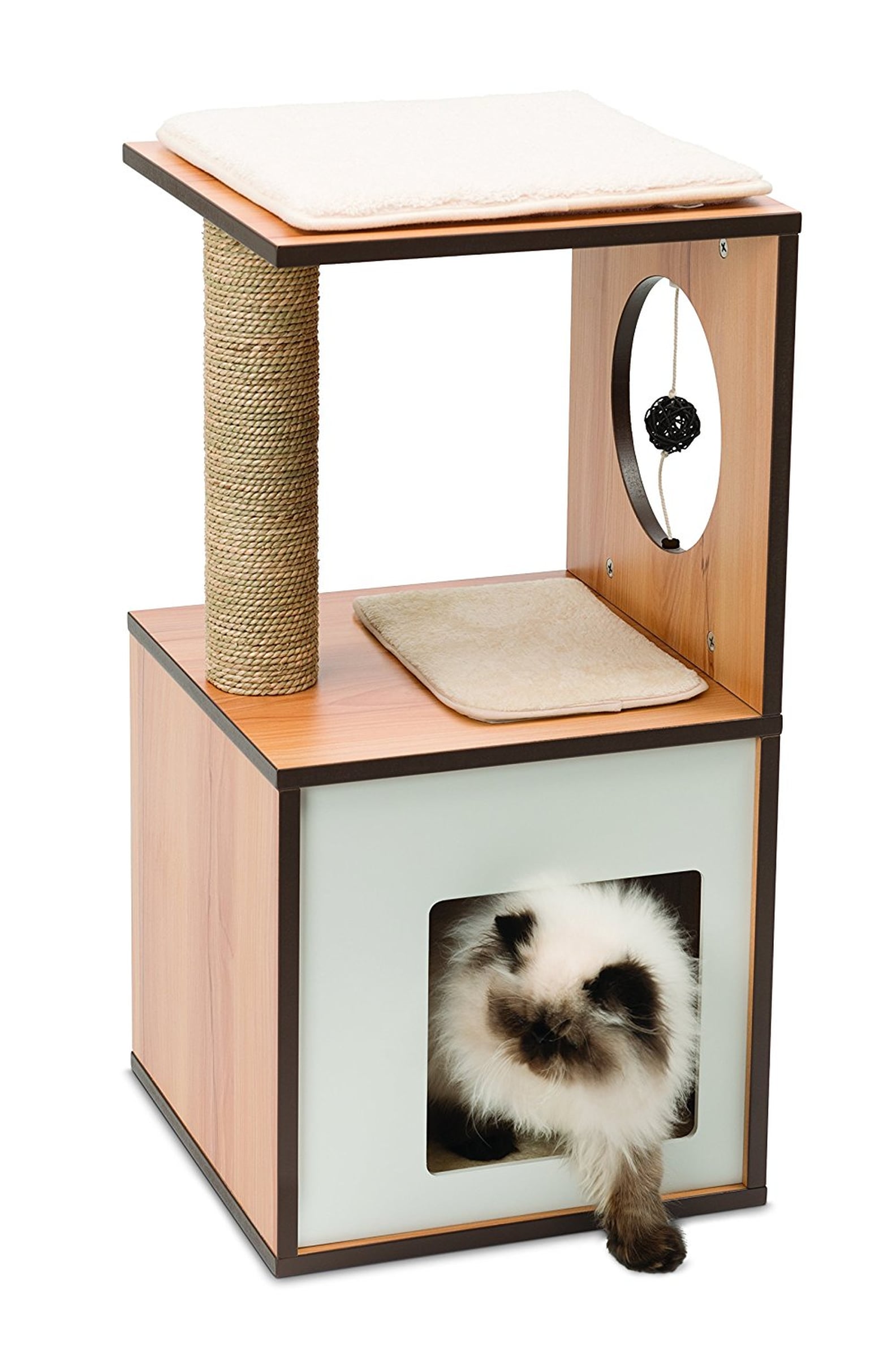 Best Cat Products on Amazon | PS Smart Living