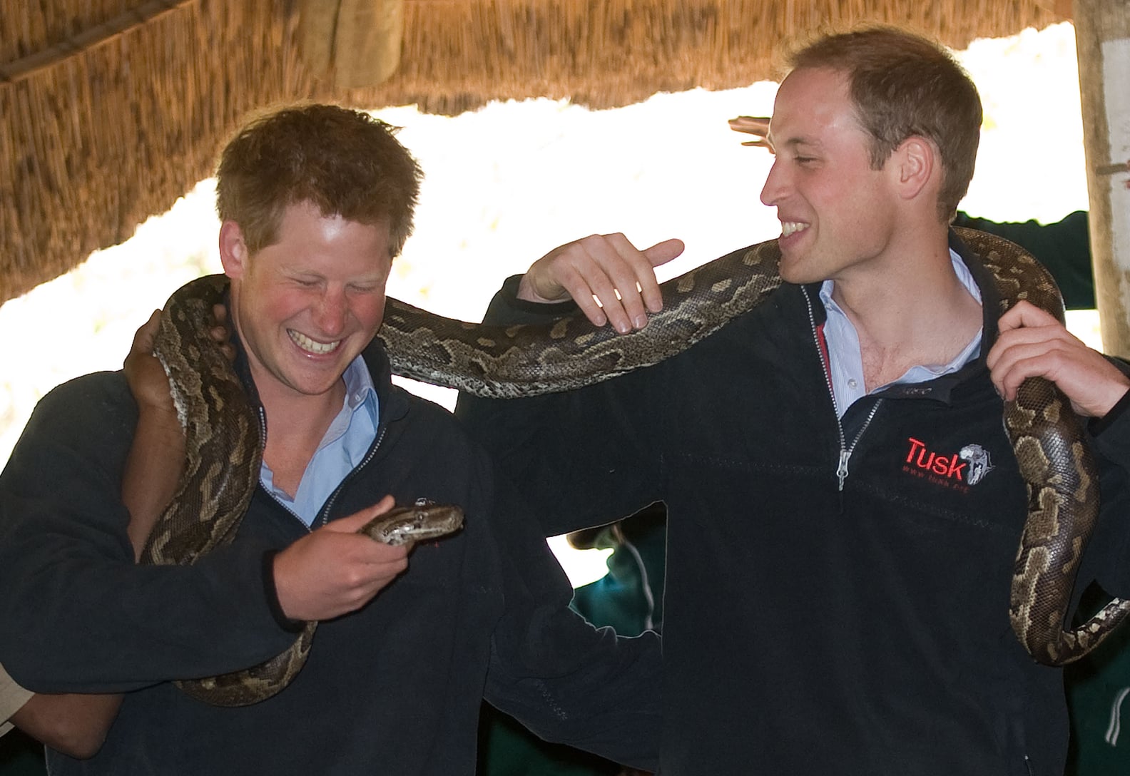 Prince Harry With Animals Pictures | POPSUGAR Celebrity
