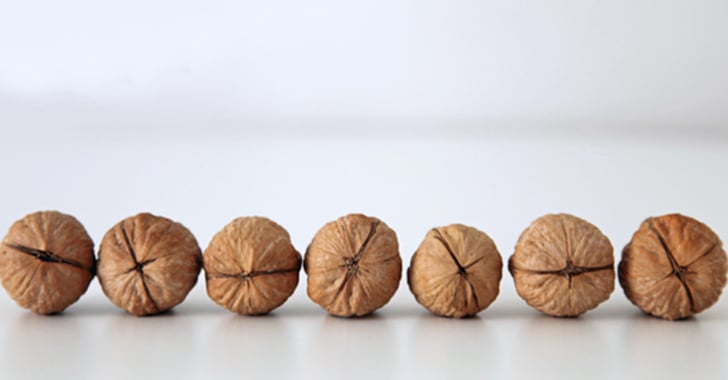 How to Crack Nuts Without a Nutcracker | POPSUGAR Food