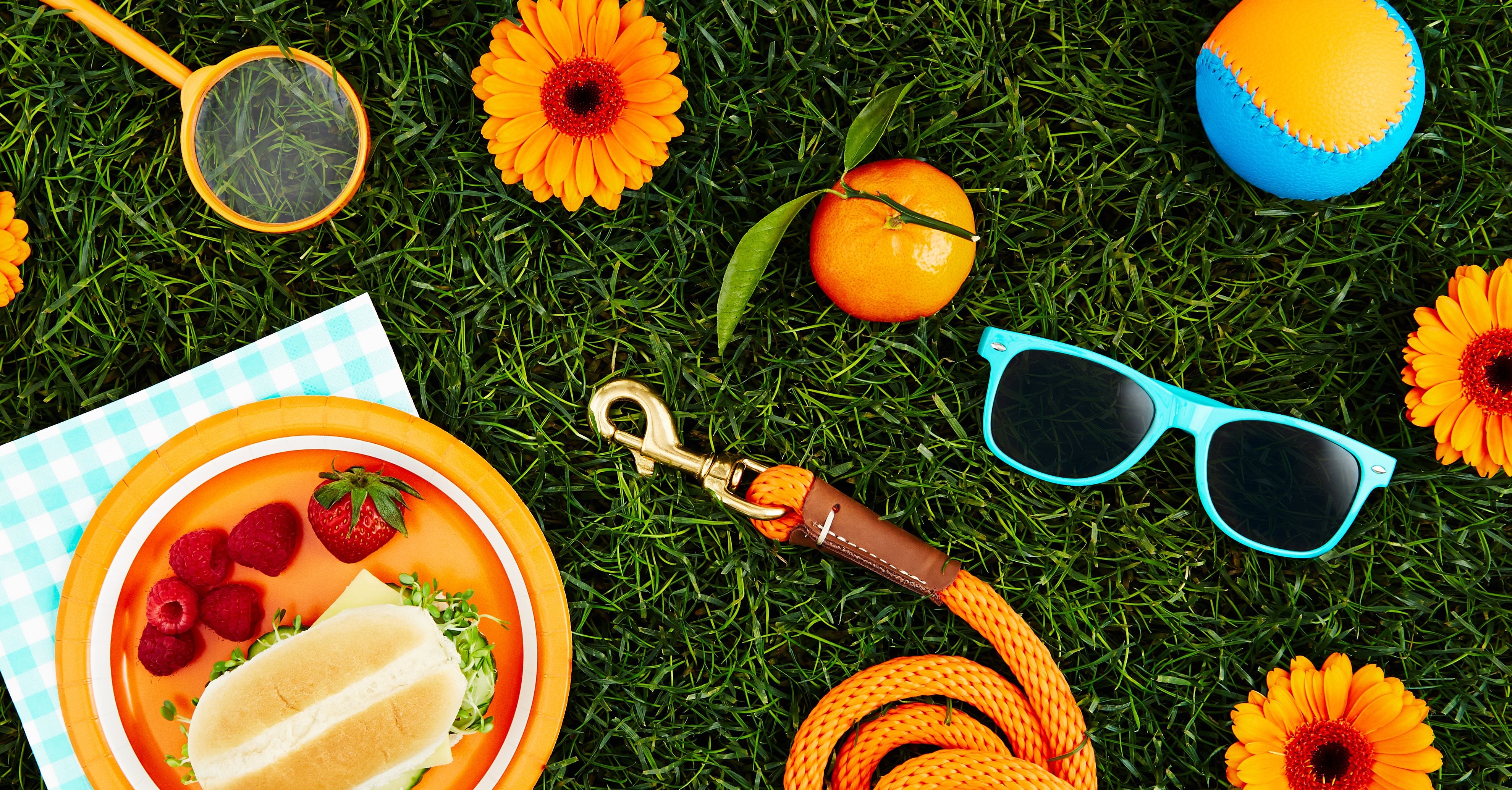 Kid-Friendly Spring Activities | POPSUGAR Family