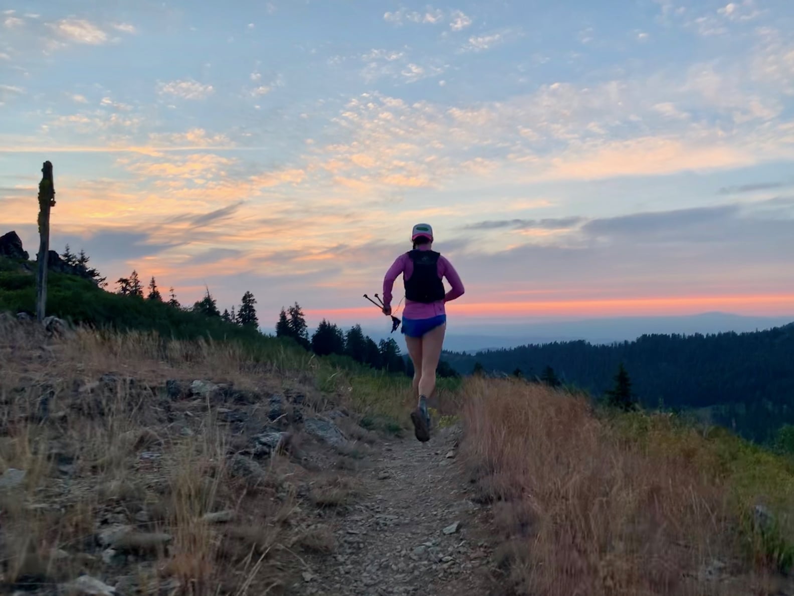 Emily Halnon on Grief, Running, and "To the Gorge" Book | PS Books
