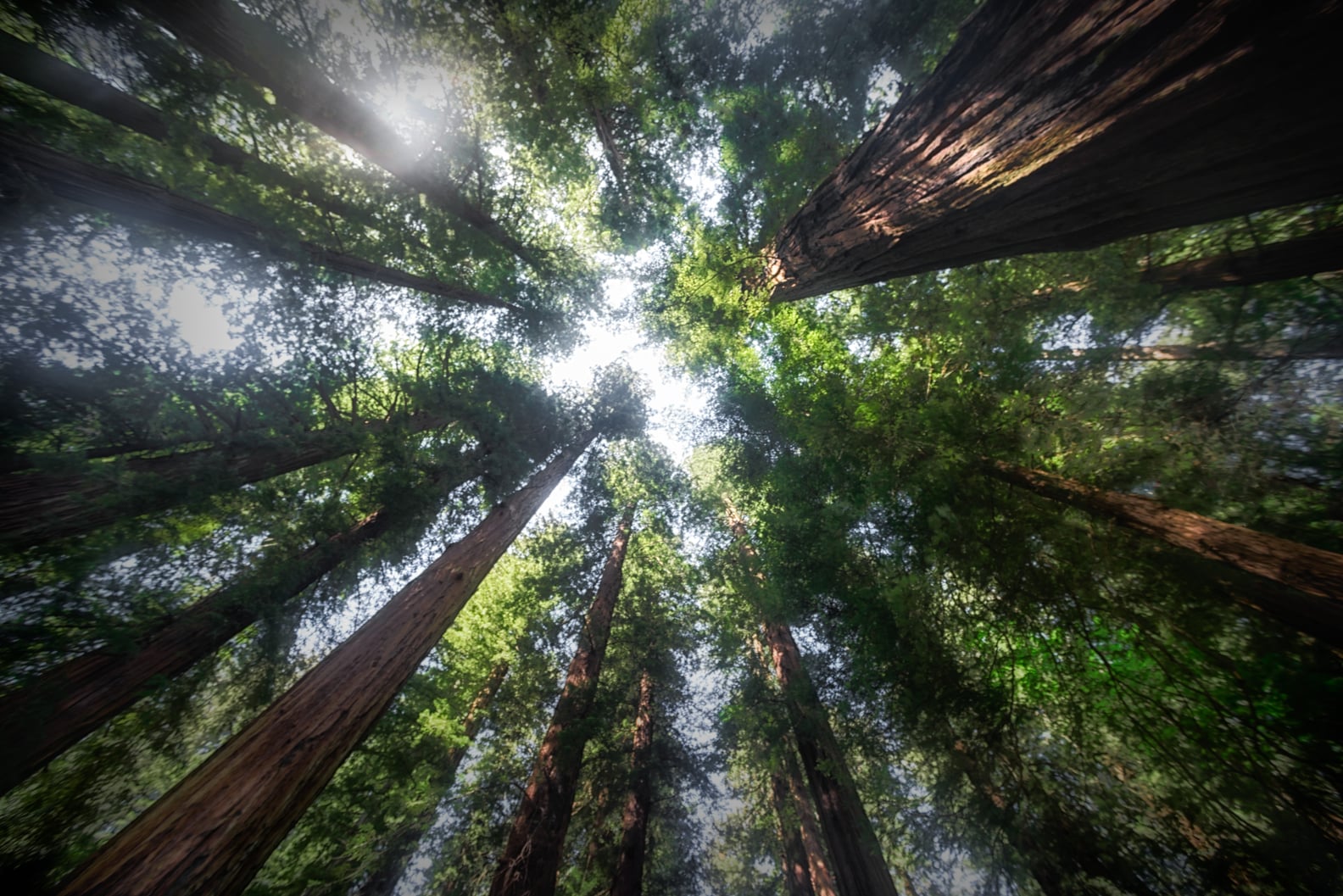 Murder Mountain True Story | PS Entertainment